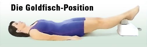 Original Sun Ancon Chi-Maschine - ZeitenSchrift – Shop